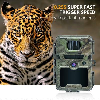 China Mini Wireless Hunting Trail Camera 30MP No Glow IR IP66 Waterproof 1080P Video for sale