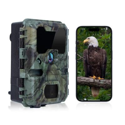 China KW788 Trail Camera 32MP 4K Video with 0.4s Trigger Speed and IP67 Waterproof for Wildlife Monitoring for sale