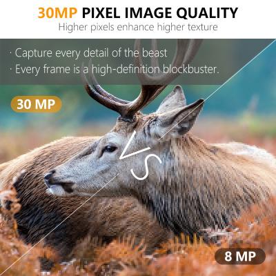 China Keepguard 30MP No-Glow Trail Camera 1080P Night Vision IP66 Waterproof 100ft Range for Wildlife Hunting for sale