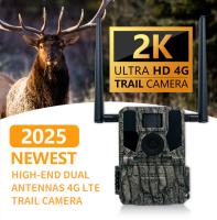 China 4G LTE Trail Camera 36MP Night Vision 2K Video IP66 Waterproof Wildlife Scouting Camera for sale