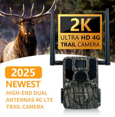 China 4G LTE Trail Camera 36MP Night Vision 2K Video IP66 Waterproof Wildlife Scouting Camera for sale
