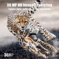 China 32M Internal Memory GSM Hunting Camera Featuring High Resolution Suitable for Forest Surveillance and Hunting Activities for sale