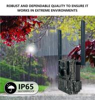 China Keepguard KW897 4G Cellular Trail Camera 5MP Night Vision GPS Hunting Camera with 0.25s Trigger Speed for sale