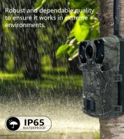 China Keepguard KW896 4G Wireless Trail Camera 20MP 0.6s Trigger Night Vision 80ft CAMO for sale