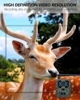 China Keepguard KW886 4G Cellular Game Camera 24MP 1080P HD 170° Wide Angle IP66 Waterproof for sale