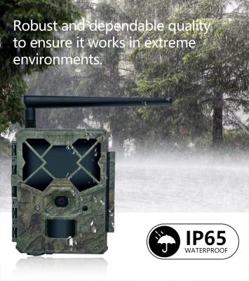 China Keepguard KW886 4G Cellular Game Camera 24MP 1080P HD 170° Wide Angle IP66 Waterproof for sale