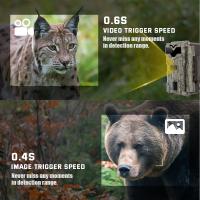 China LCD Display Hunting Camera Featuring Maximum Video Size 1920 by 1080 Suitable for Outdoor Wildlife Tracking and Security for sale