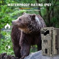 China LCD Display Hunting Camera Featuring Maximum Video Size 1920 by 1080 Suitable for Outdoor Wildlife Tracking and Security for sale