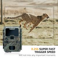 China 2 inch lcd hunting camera featuring 110×97×66mm size suitable for professional outdoor animal observation for sale