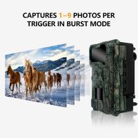 China 8 AA Batteries hunting camera integrated USB 2 0 connectivity providing power and fast data access for outdoor monitoring for sale