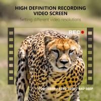 China IP66 Waterproofrating Hunting camera featuring 24 inch screen infrared night vision for wildlife observation and security for sale