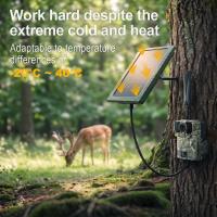 China Dc Metal 4.0 1.7mm Solar panel featuring 5MP HD Color CMOS Image Sensor designed to optimize renewable energy systems and maximize output for sale