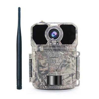 China Wireless 4G Trail Camera with 30MP Resolution, 25-30m IR Range and Mobile App Control for Outdoor Monitoring for sale