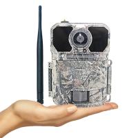 China Keepguard 4G LTE GPS Trail Camera with 30MP Resolution, 25m Night Vision and IP66 Waterproof Rating for sale