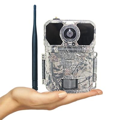 China Keepguard 4G LTE GPS Trail Camera with 30MP Resolution, 25m Night Vision and IP66 Waterproof Rating for sale