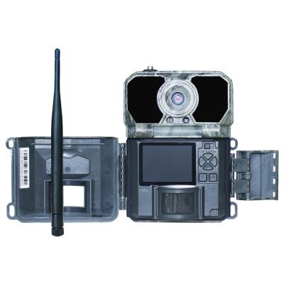 China Cellular Trail Camera 20MP 720p with 4G Connectivity and 0.25s Trigger Speed for Wildlife Monitoring for sale
