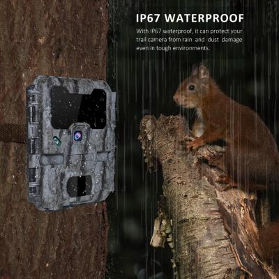 China KW865 940nm WiFi Trail Camera with 24MP Resolution, 25m Detection Range and IP67 Waterproof Rating for sale