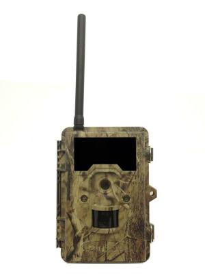 China KeepGuard KG760NV 12MP No Glow Trail Camera 940nm IR 0.6s Trigger 25m Detection for sale
