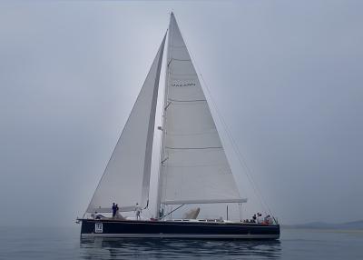 China High Stability Sports Sailing Boats Fiberglass Hull Cruiser Sailing Yachts for sale
