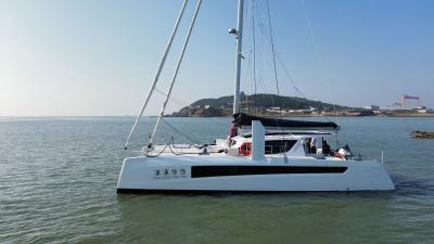 China Comfortable Catamaran Sail Boat Business Hospitality Luxury Cruising Yacht for sale
