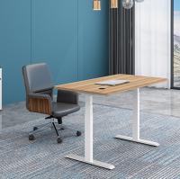China Commercial Custom Dual Motor Electric Height Adjustable Lift Coffee Table for Smart Office for sale