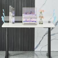 China Office Dual Motor Electric Sit Stand Desk with Modern Design and Custom Wooden Grain for sale