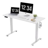China Height Adjustable PANEL Desk Frame 2 Stage Single Motor for Home Office in Wood Style for sale