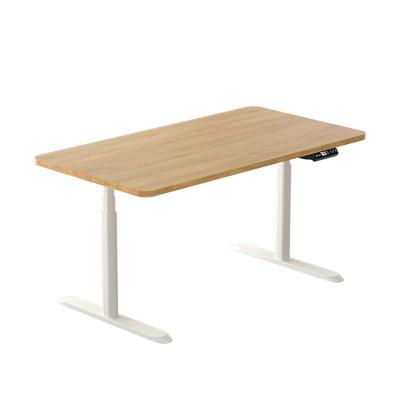 China Modern Design Custom Dual Motor Standing Desk for Study SPCC Steel/Iron Frame Material for sale