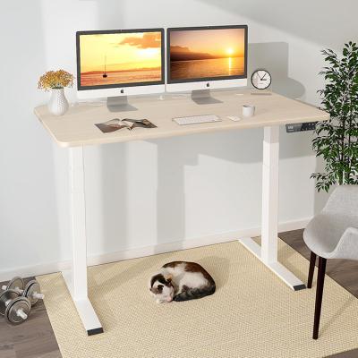 China 80 kgs Capacity Electric Height Adjustable Coffee Table for Kids Learning and Writing for sale