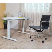 China Electric Multifunction Dual Motor House Table Modern Nordic Study Desk for Children for sale