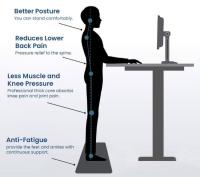 China 2 Stage Height Adjustable Standing Desk For Health Office Furniture for sale