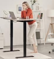 China 2 Stage Height Adjustable Standing Desk For Health Office Furniture for sale