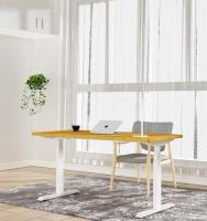 China Height Adjustable Desk Frame Electric Standing Single Motor Iron Table for Home Office for sale
