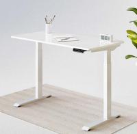 China Height Adjustable Desk Frame Electric Standing Single Motor Iron Table for Home Office for sale