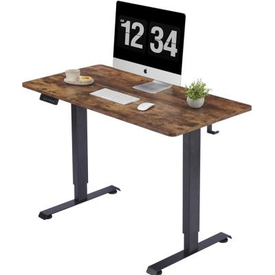 China Office Building Petite Ergonomic French One Motor Electric Standing Desk for Kids for sale