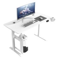 China Electric Sit Standing Desk with Double Motors and Custom Mechanical Height Adjustment for sale