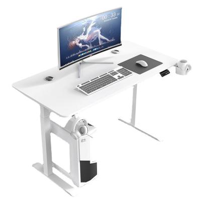 China Electric Sit Standing Desk with Double Motors and Custom Mechanical Height Adjustment for sale
