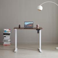 China 2 Stage SPCC Steel/Iron Frame Customizable Electric Standing Computer Desk for Commercial for sale