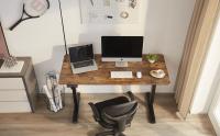 China 2 Stages Dual Motor Electric Height Adjustable Standing Desk for Healthier Working Habit for sale