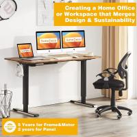 China Anti-collision System Wooden Electric Height Adjustable Desk with Dual Motor 1200mm Length for sale