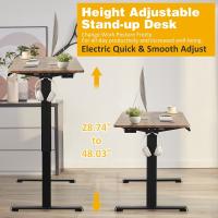 China Anti-collision System Wooden Electric Height Adjustable Desk with Dual Motor 1200mm Length for sale