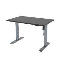 China Wooden Office Furniture Height Adjustable Electric Lifting Desk for Home and School for sale