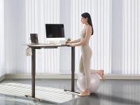 China Wood Style Electric Lifting Desk 1000x600mm Height Adjustable Standing Desk with Hook for sale