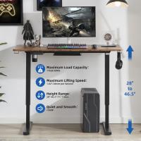 China Large Panel Ergonomic Electric Lift Desk Height Adjustable Single Motor Modern Design for sale