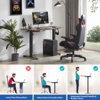China Large Panel Ergonomic Electric Lift Desk Height Adjustable Single Motor Modern Design for sale