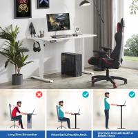 China Metal Single Motor Adjustable Standing Desk Stand up Mechanism Height Modern School Desk for sale