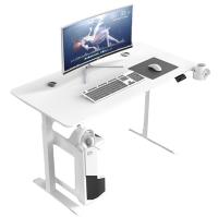 China 80 kgs Capacity Multi-Function Adjustable Table Electric Motor Lifting Sit Stand Desk for sale