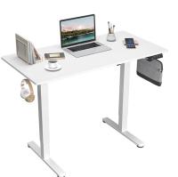 China Single or Dual Motor Electric Sit Stand Up Desk for White Wooden Laptop Gaming Work Table for sale