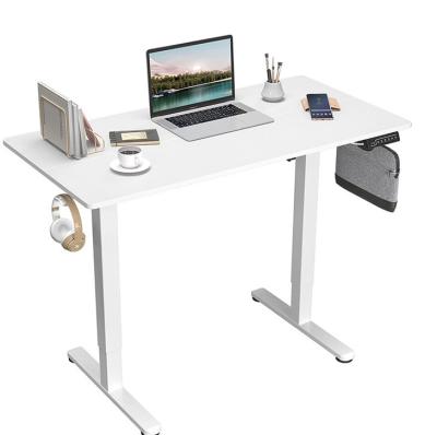 China Single or Dual Motor Electric Sit Stand Up Desk for White Wooden Laptop Gaming Work Table for sale