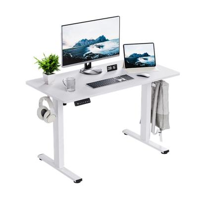 China 100 V/Hz Height Adjustable Wooden Sit Standing Desk for Office and Home in White for sale